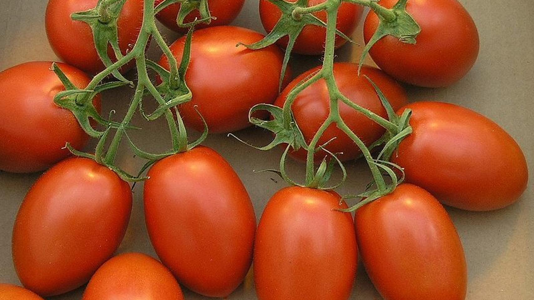Pepa Muñoz, chef, explica cómo hace la mejor conserva: "El tomate pera ...