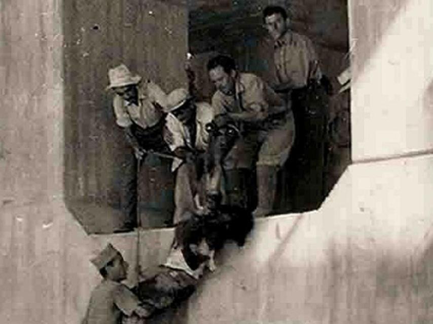 Los 150 muertos ocultos de la Armada en Cádiz: 70 años después, sin ...