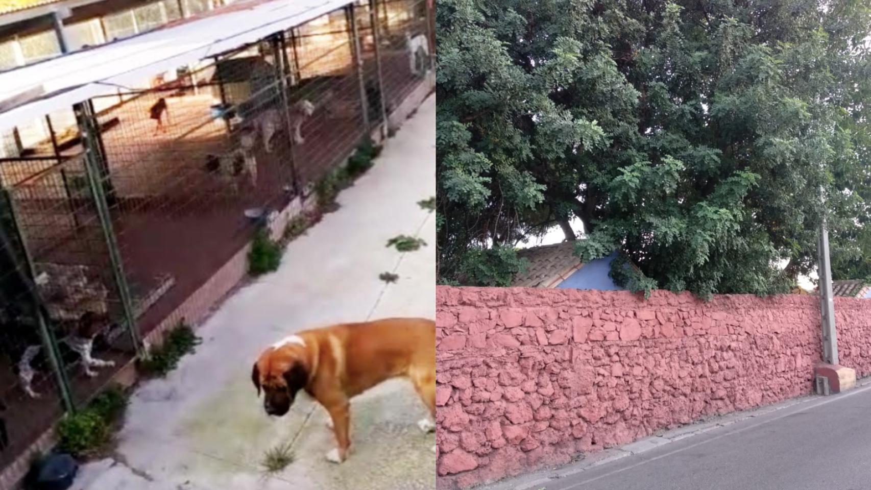 A perro muerto, perro vivo: el timo para seguir cobrando de la herencia ...