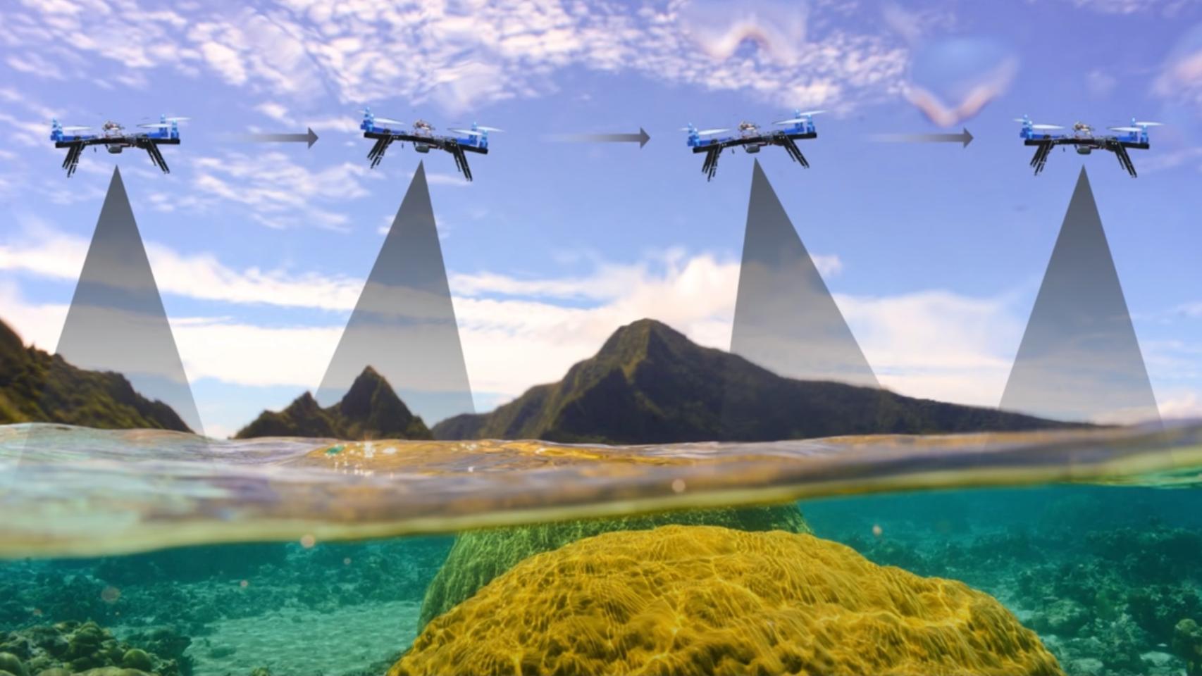 NeMO, el videojuego de la NASA para salvar corales marinos desde casa