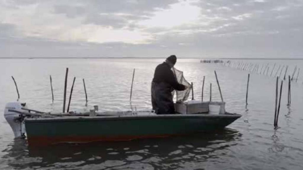 Así es 'Lagunaria', el documental veneciano que pide 'a gritos' ayuda para salvar la ciudad