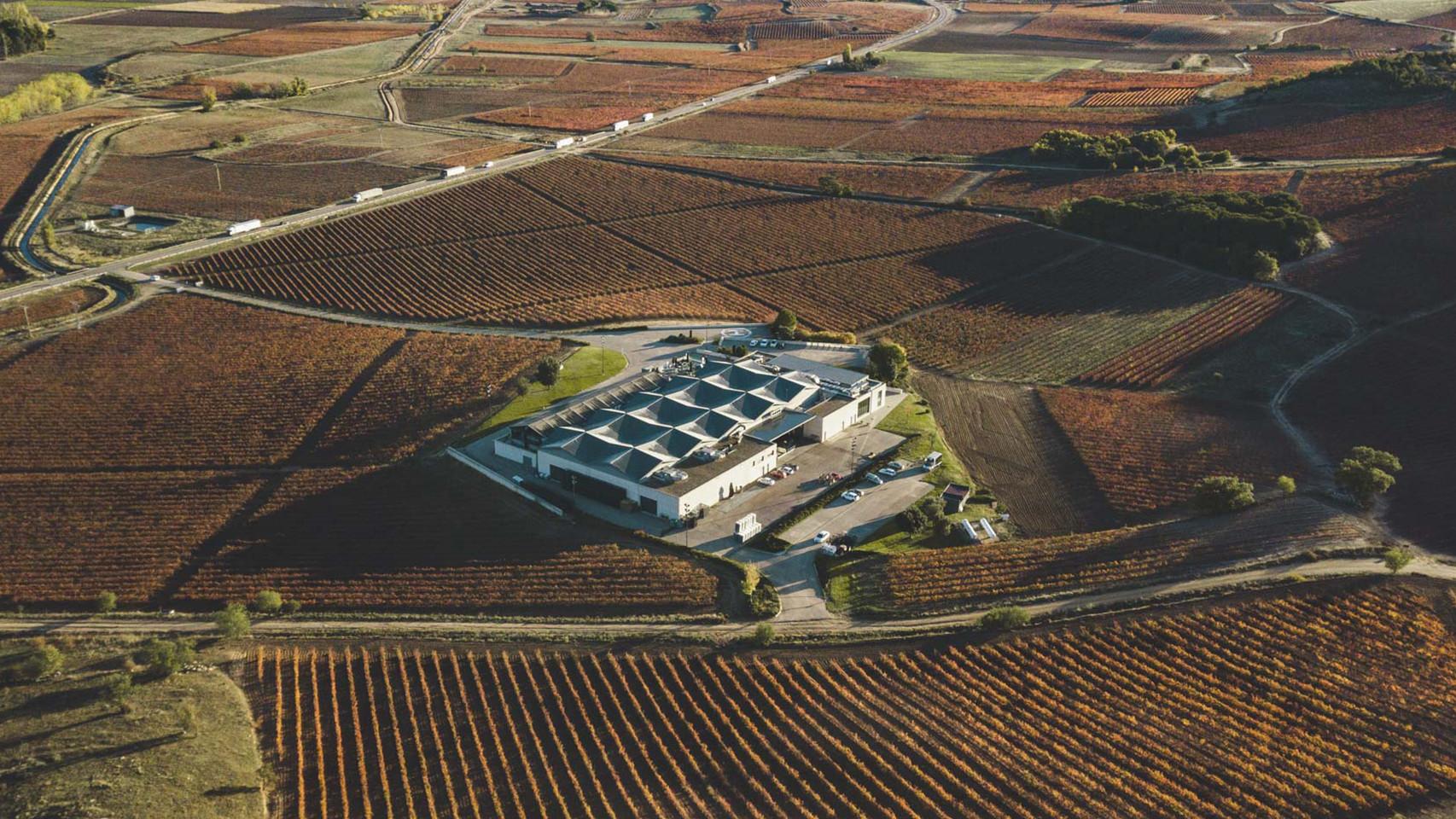 Cepa 21, la bodega que ha encontrado su sitio