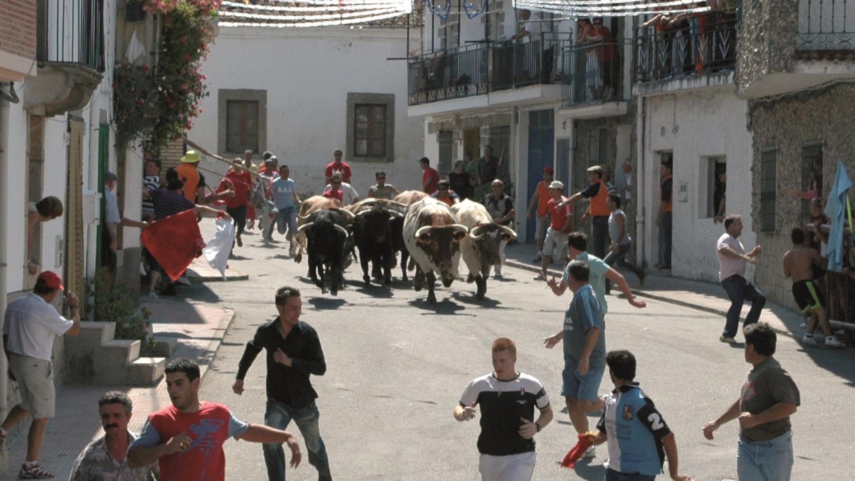 Villarino de los Aires despliega un programa festivo completo con toros ...