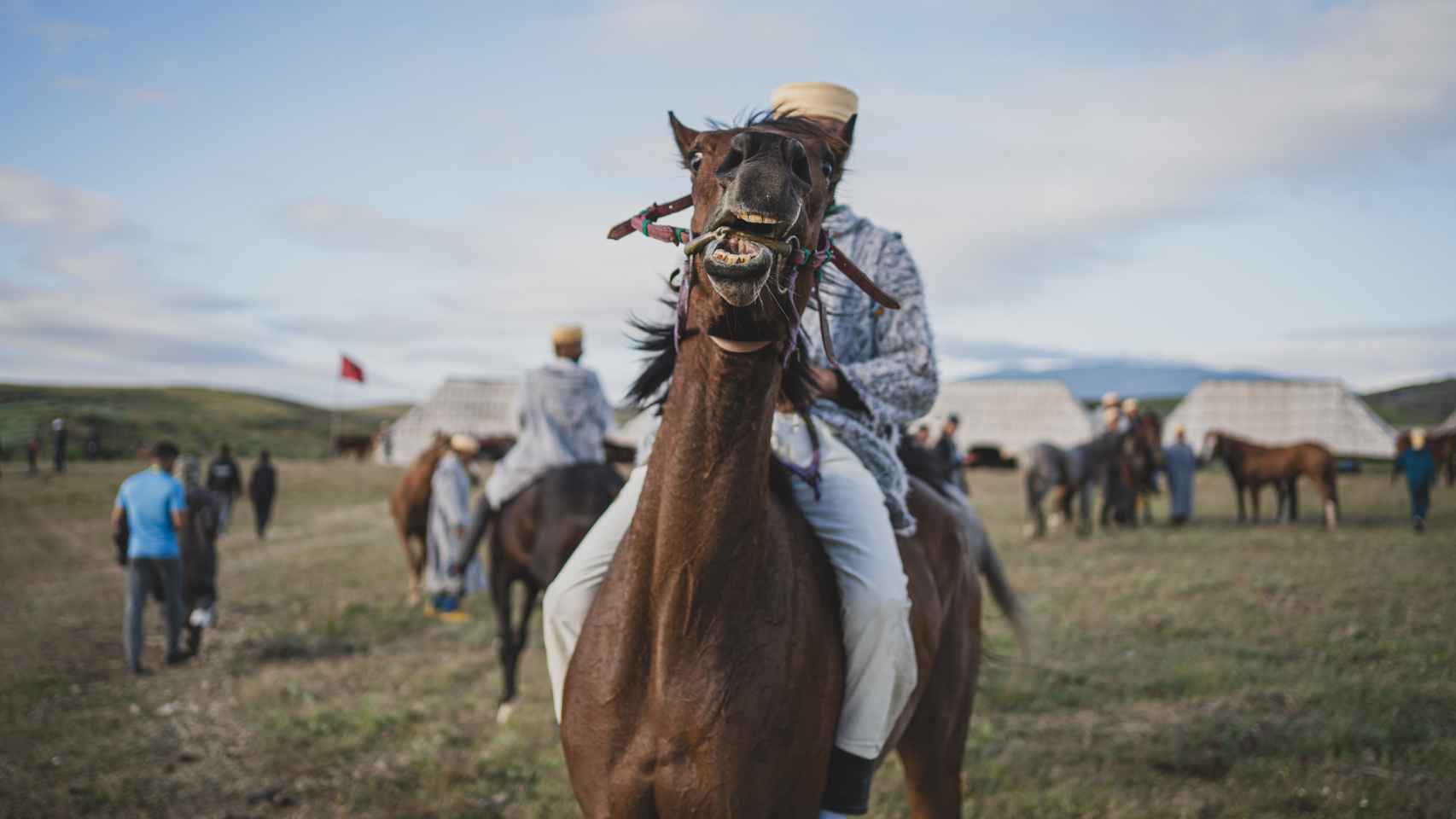 Caballos, gritos 'zaghareet' y danzas ancestrales: tres días en el ...