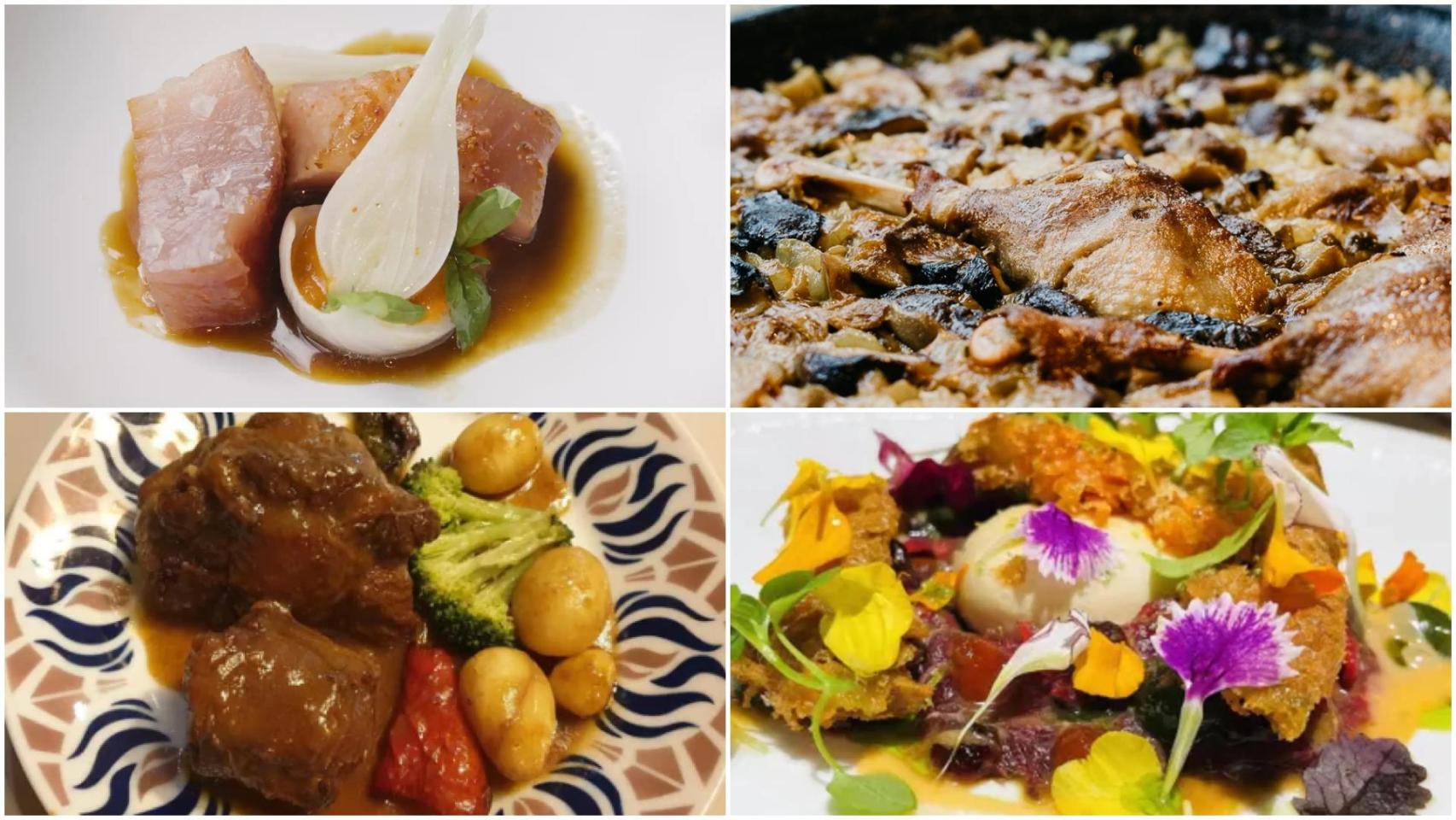Los 7 restaurantes de Lugo reconocidos por la Guía Michelin 2025