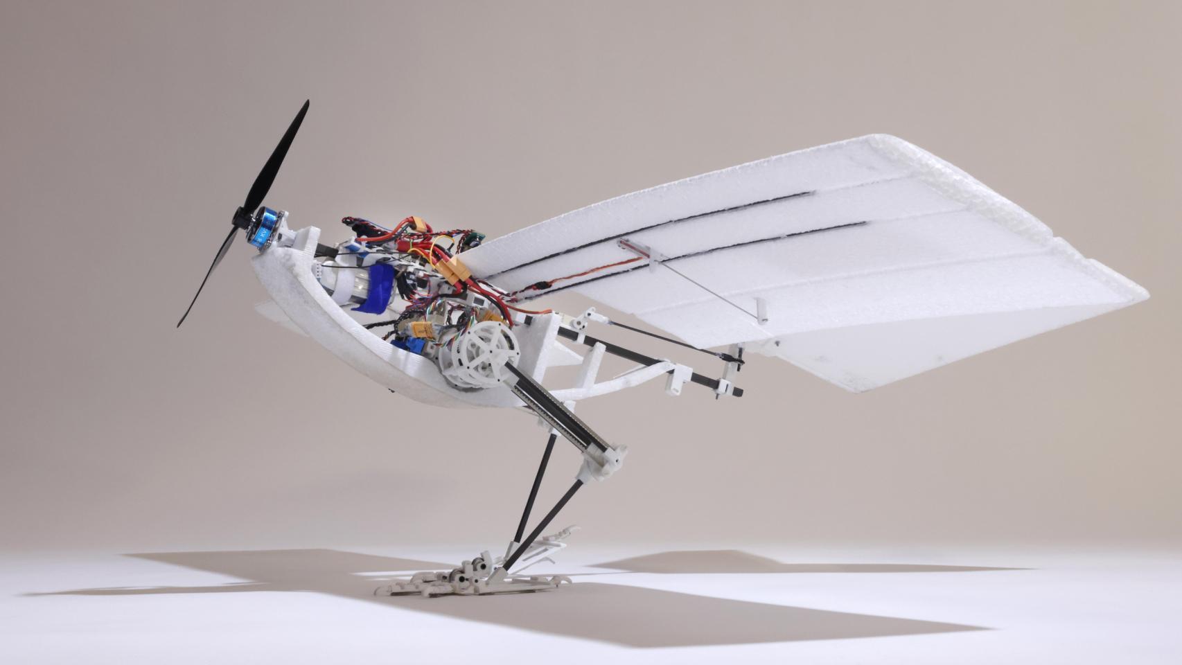 La nueva generación de drones inspirados en pájaros: "Podrán realizar ...