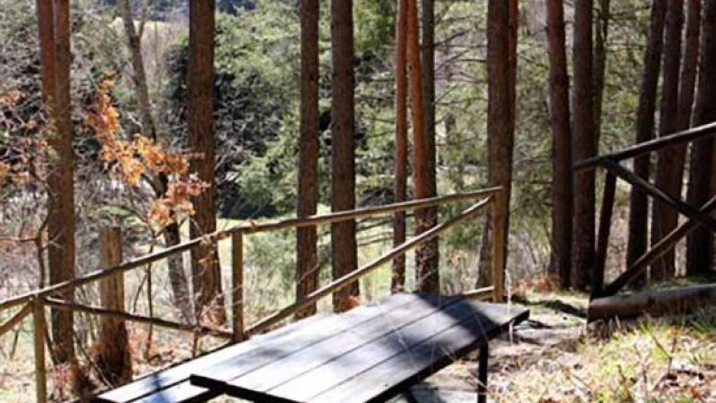⁠El bosque con un sendero mágico y sensorial: es Patrimonio Natural y a ...