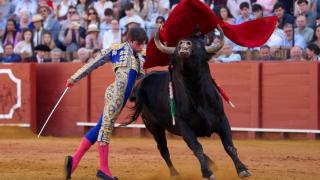 Aarón Palacio, novillero aragonés: "Es la alternativa soñada por ...