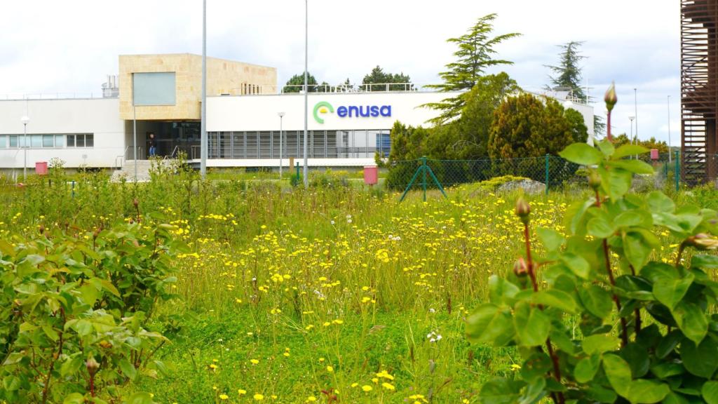 Enusa se convierte en el primer miembro corporativo español de la ...