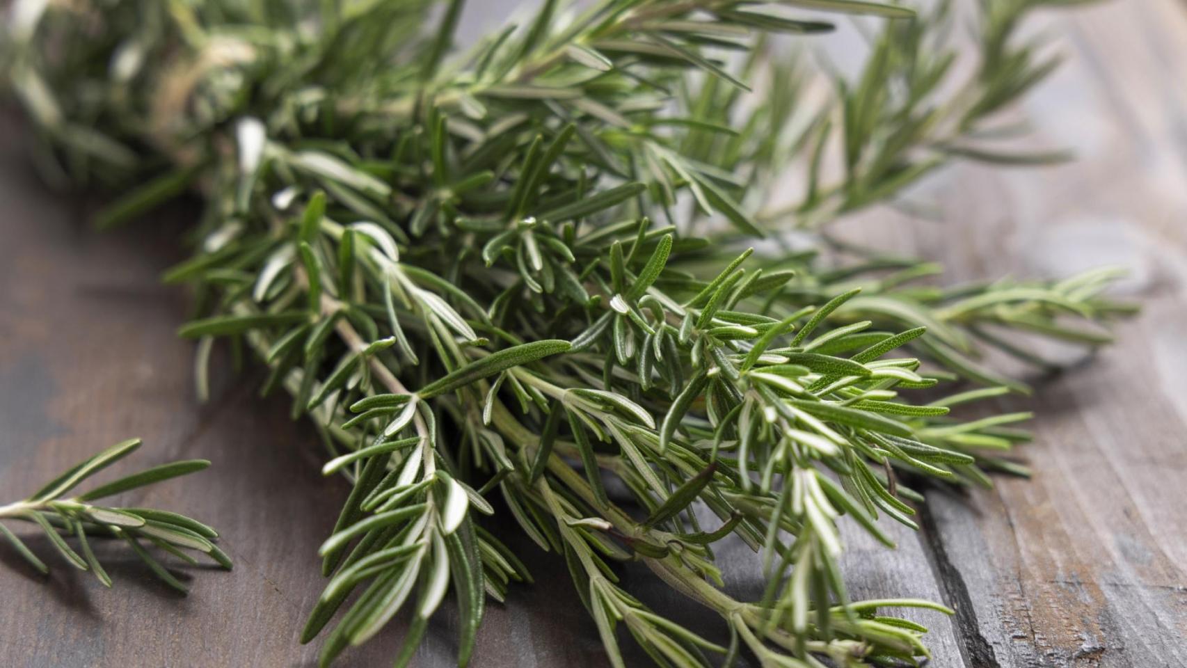 Las 7 hierbas mágicas del ramo de San Juan en Galicia: así puedes ahuyentar a los malos espíritus