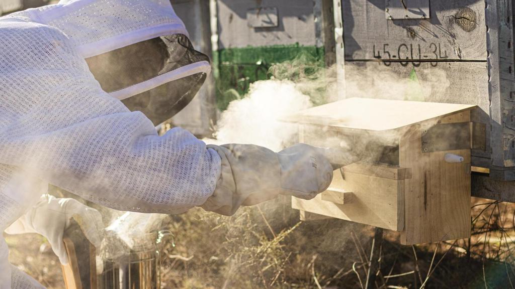 Fernando Ramón Rincón tiene la mejor miel de España y la segunda mejor ...