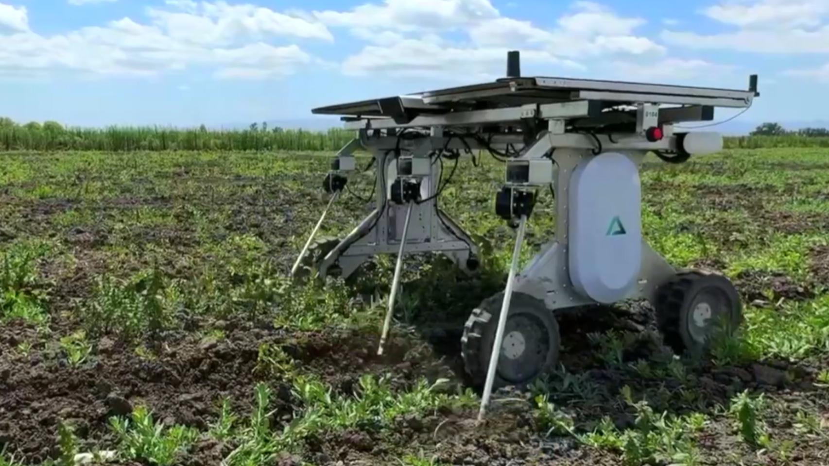 El robot con IA que jubilará a los agricultores: elimina la maleza sin ...