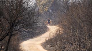 Las Médulas, en llamas por un incendio "sin control": casas quemadas ...