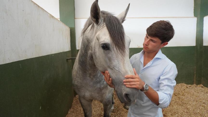 Aarón Palacio, novillero aragonés: "Es la alternativa soñada por ...
