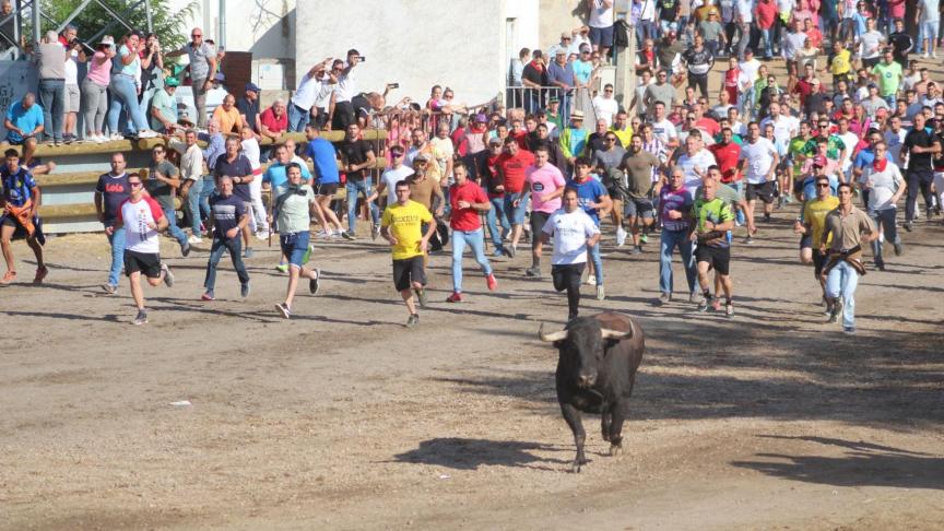 Saltavallas da guerra en el Toro de la Vega de Tordesillas: momentos de ...