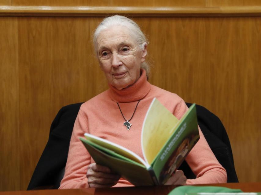 El lado íntimo de Jane Goodall en sus frases más inspiradoras: "El ...
