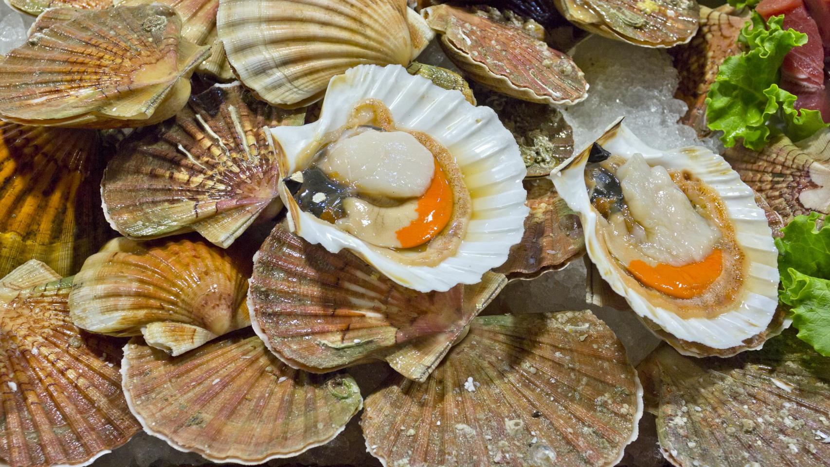 Hormigón de guía Michelin: Galicia transforma las conchas de vieira de ...